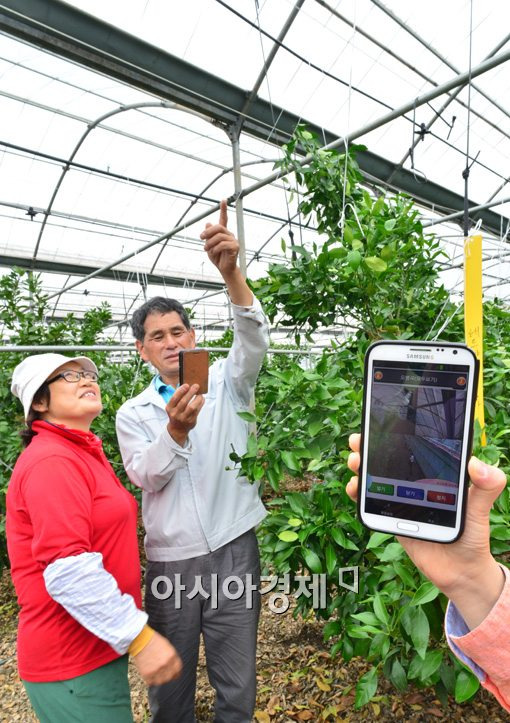포토 Sk스마트팜 농업경제 활성화에 활력 불어넣어