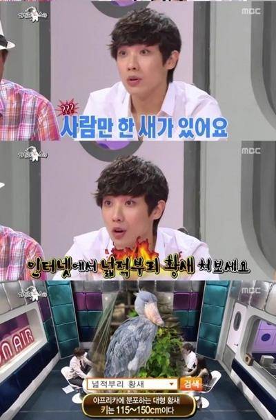 이준 넓적부리황새 목격담 공개 누리꾼들 너무 웃겨