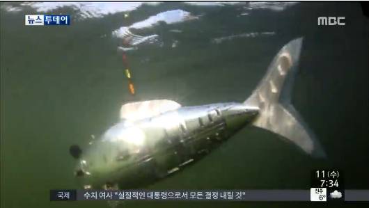 4대강 수질 측정 로봇 물고기 개발 총괄 연구원 구속