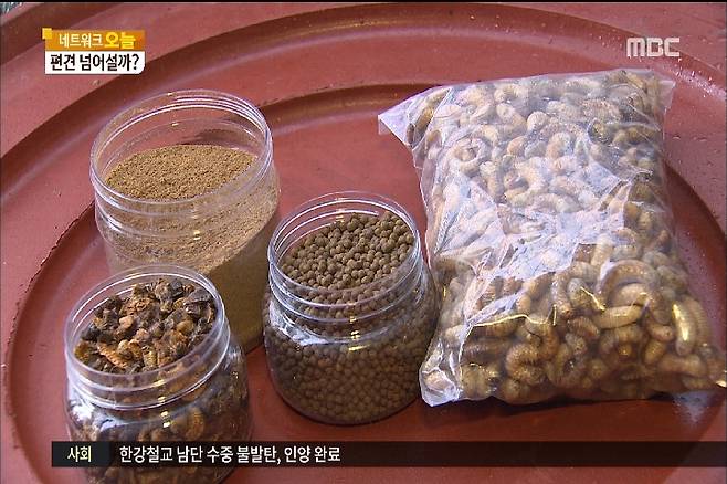 귀뚜라미 초밥·애벌레 파스타 돈 되는 식용 곤충