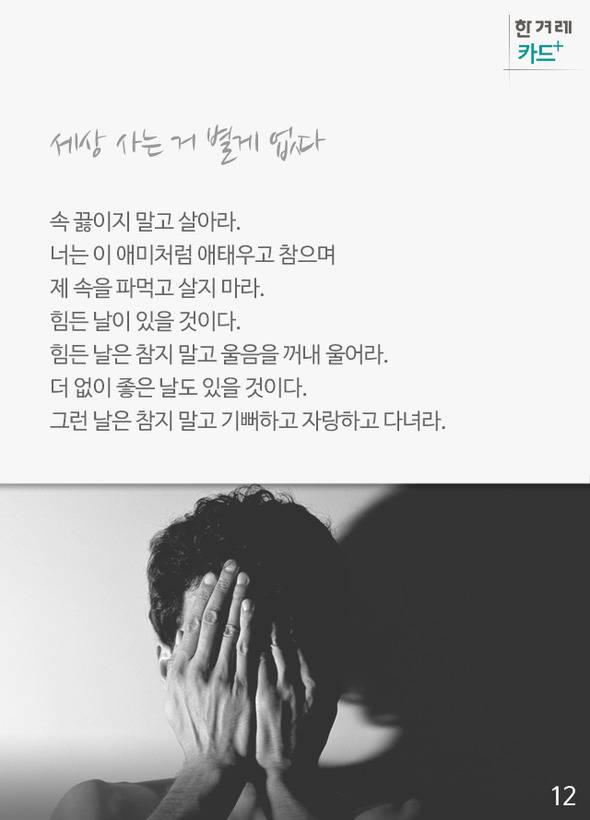 카드뉴스 어머니의 편지