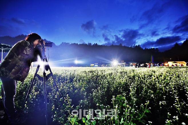 포토 2016평창효석문화제 8