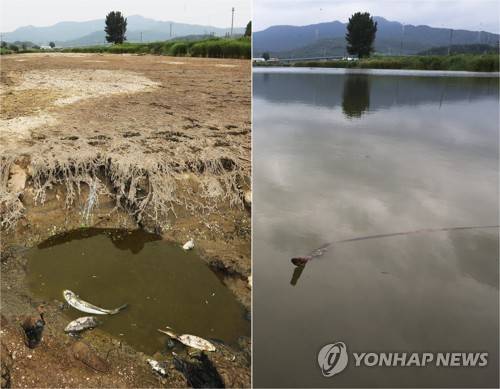 한밤중 천안 시간당 40mm 장대비곳곳 침수 피해종합