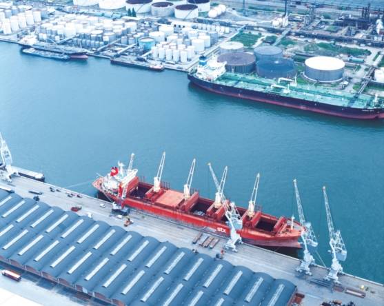 STX Pan Ocean Signs $6 Billion Long-term Voyage Contract with Brazil's Vale