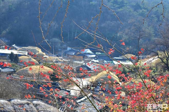 포토친구 경주 양동마을의 겨울