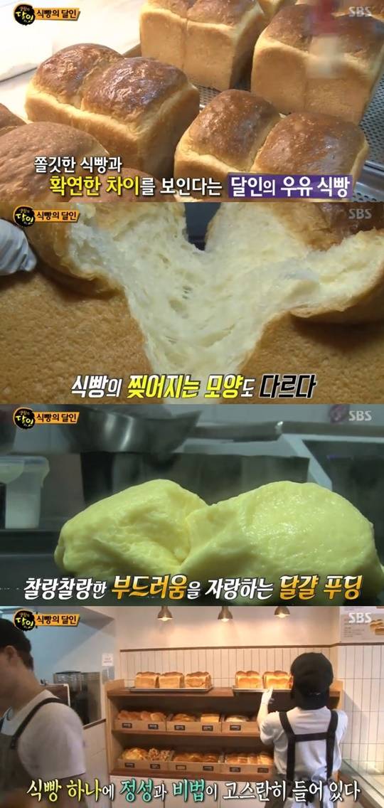 시선강탈 생활의달인 식빵의달인 빵집 극강 쫄깃함 부드러운 식감 둥굴레 눈길