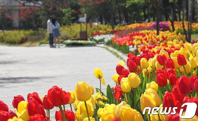 아름다운 튤립밭에서