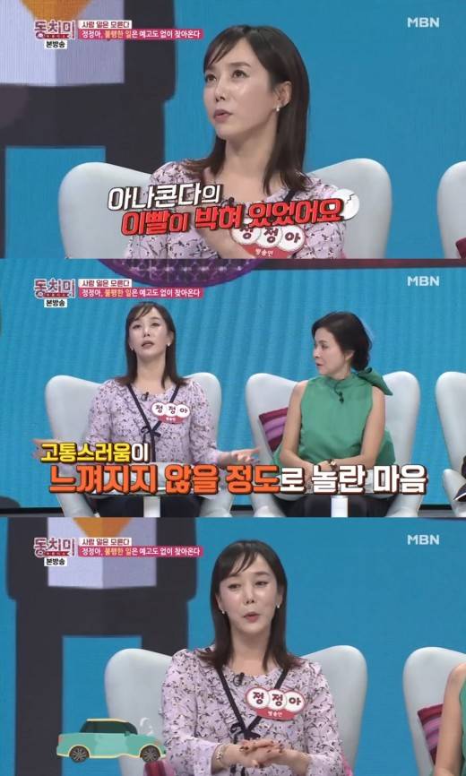 정정아 아나콘다 사건 6m 넘는 크기 이빨 박혀 팔 찢어져