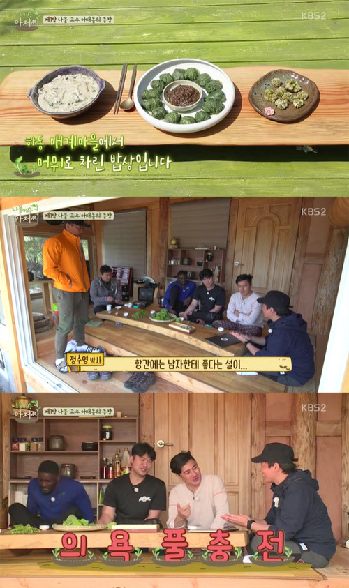 나물캐는 아저씨들 머위 효능 듣고 의욕 활활 대체 뭐길래