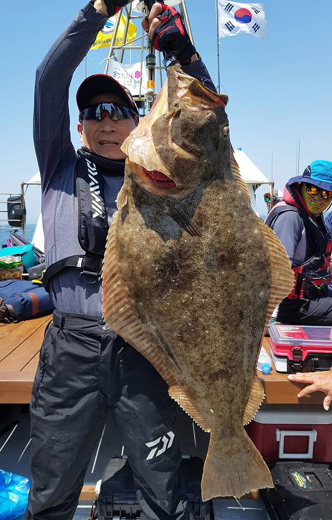 우리나라 광어넙치 최대어 기록 깨지나영흥도서 110cm 17kg 대광어 나와