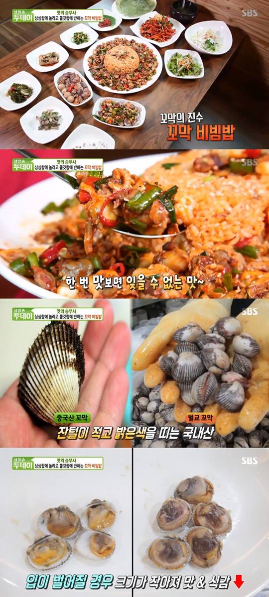생방송투데이 맛의 승부사 꼬막비빔밥 부드러움에 쫄깃함까지