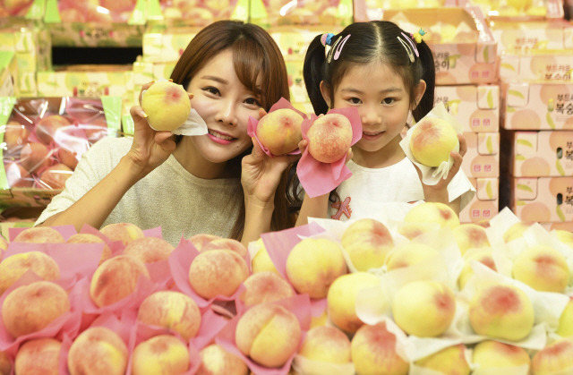 제철 과일 복숭아 드세요