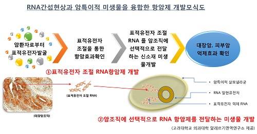 고려대의대 윤원석 교수팀 대장암 표적치료 항암제 개발 성공
