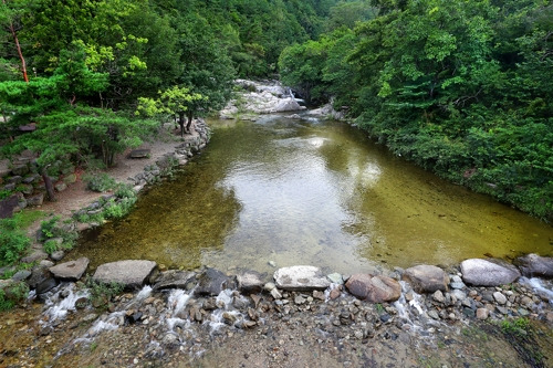 연합이매진 울진 구수곡자연휴양림