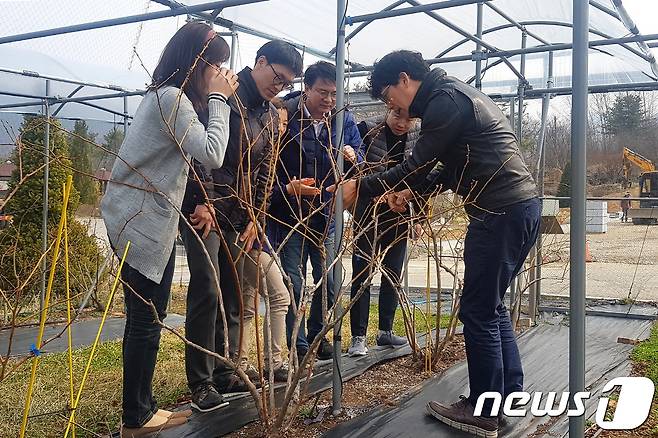 무주군 5년 미만 공무원들 특화품목 전문가로 육성
