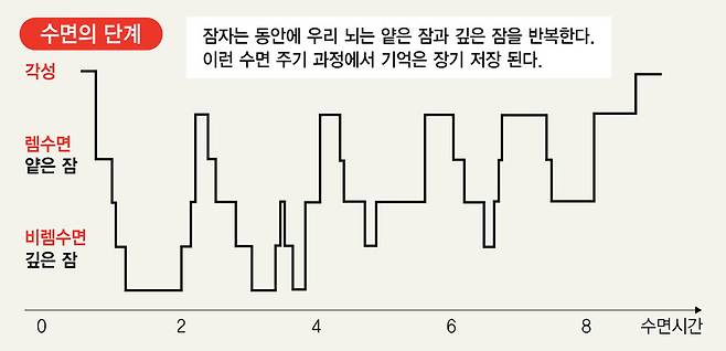 4당5락 잠자는 동안 뇌는 낮에 공부한 내용 복습한다