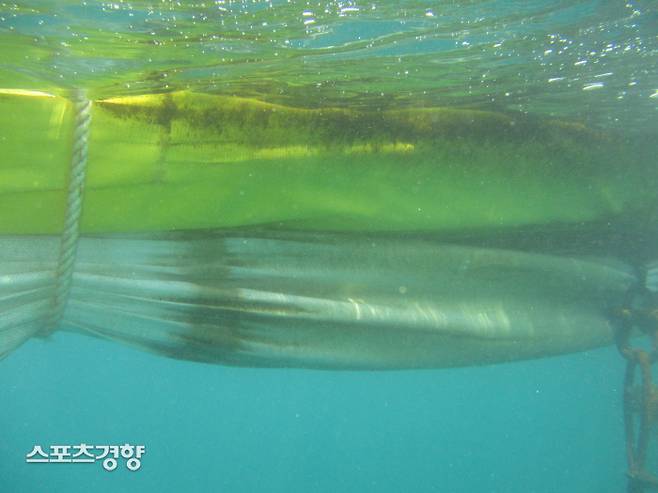 이번엔 오탁방지막 눈가리고 아웅강릉화력발전소 공사현장 또 다른 불법매립 강행