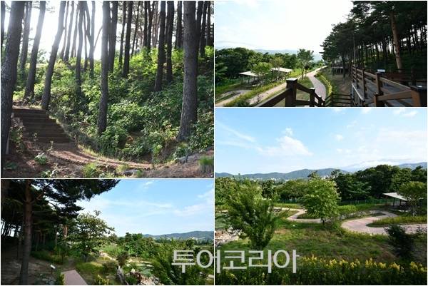 즐거움이 가득한 동화 속 여름 판타지 설악산 자생식물원and숲 박물관