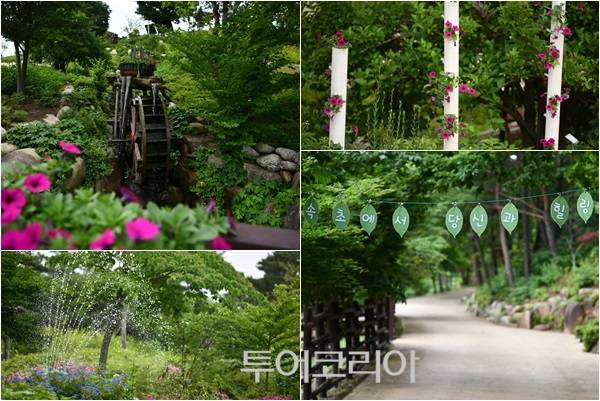 즐거움이 가득한 동화 속 여름 판타지 설악산 자생식물원and숲 박물관