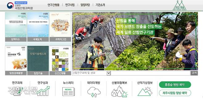 건조한 목재에서도 피톤치드가 나올까