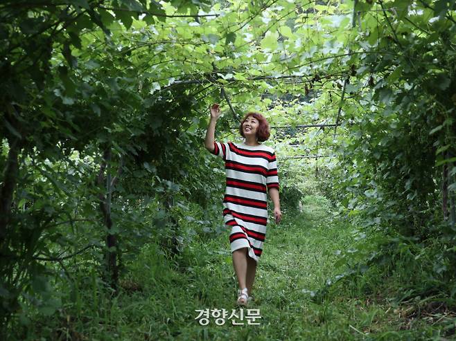 90년대생이 반할 맛 포도밭 거닐며 와인에 취하는 충북 영동 와이너리 투어
