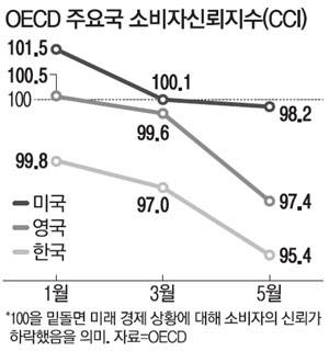 "韓소비심리 주요국중 최악"..낙관론에 경고 보낸 OECD