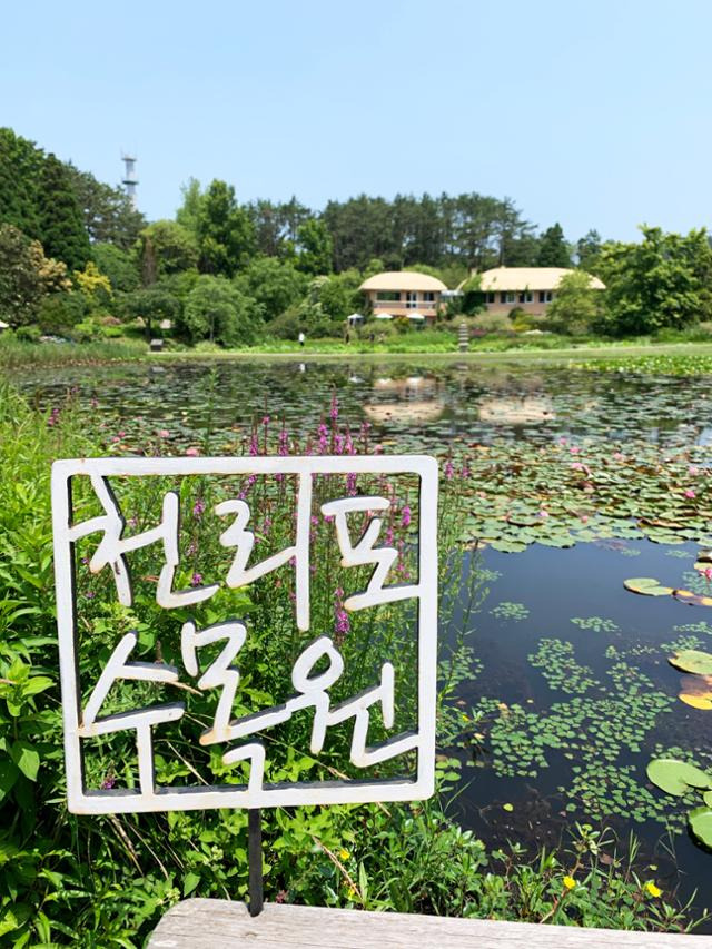 홍가시·연꽃·허브·안면송태안은 수목원 천국이네