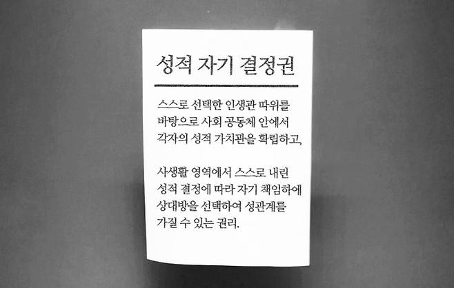 성적 자기결정권을 악용하는 괴상한 논리 플랫
