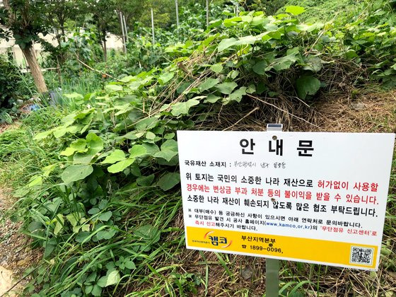 국유재산을 청년의 일터 이주민의 삶터로