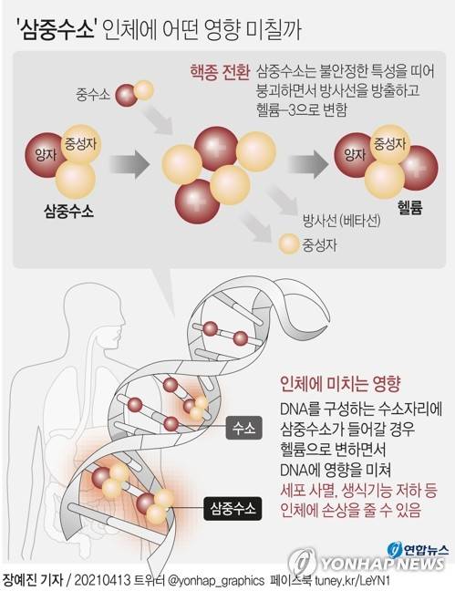 해양방류앞둔 후쿠시마 삼중수소유전자 변형·세포사멸 우려