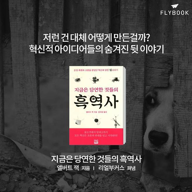 호기심 많은 사람들이 읽으면 좋은책 플라이북