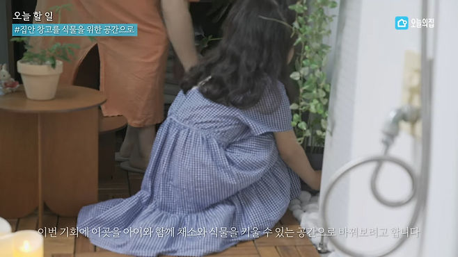시들시들한 식물 선풍기로 살릴 수 있다 오늘의집