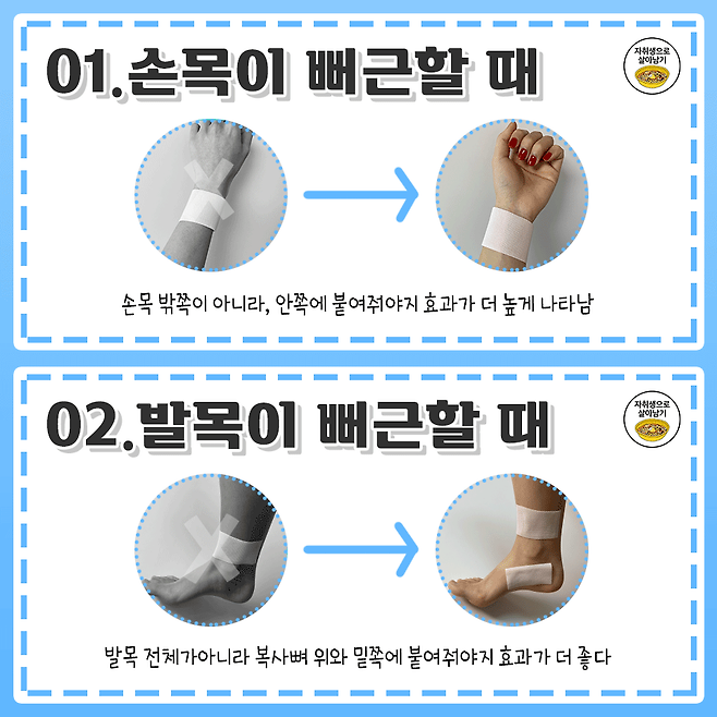 효과 수직상승하는 제대로 파스 붙이는 법 자취생으로 살아남기
