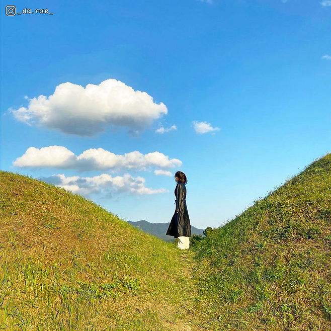 넓은 들판에 자리잡은 나홀로나무 대구 불로동고분군 🌳 여행여기서 행복할 것