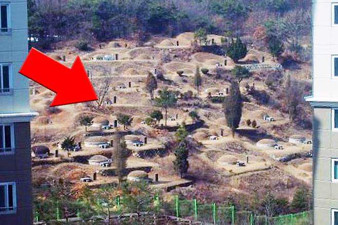 한강뷰·오션뷰 아니죠충격적인 무덤뷰 아파트의 실제 모습 머니랜드