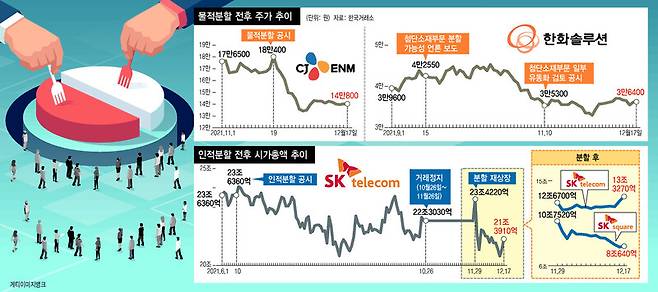 물적분할 공포에 주가 추락소액주주들 제도 개선해야