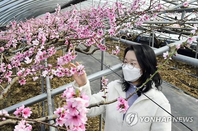 3·1절 전국 곳곳에 비봄처럼 따뜻