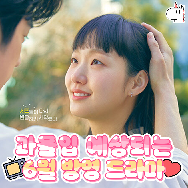 드라마 과몰입러들을 위한 6월 드라마 라인업 남녀생활백서
