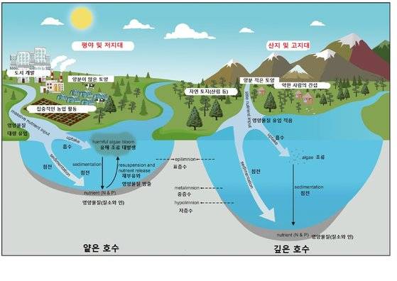 호수 1151개 분석했더니얕은 호수가 부영양화·녹조에 취약