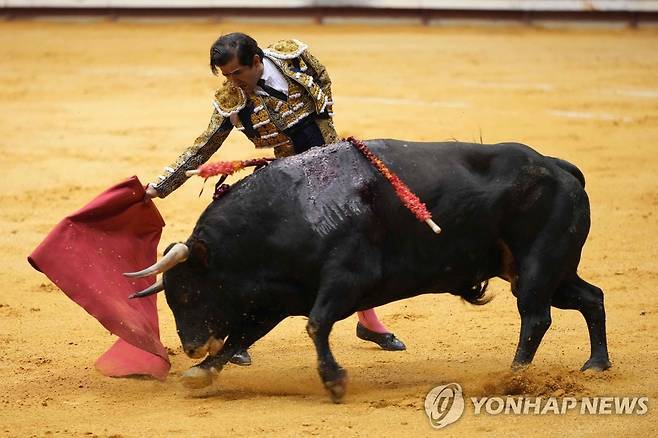 콜롬비아 투우장 인명사고로 다시 불붙은 투우 존폐 논란