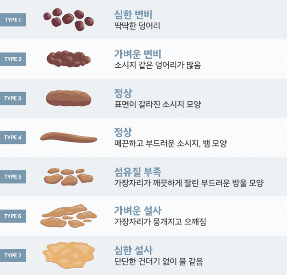 둔감한 장vs예민한 장 유산균도 장 맞춤형