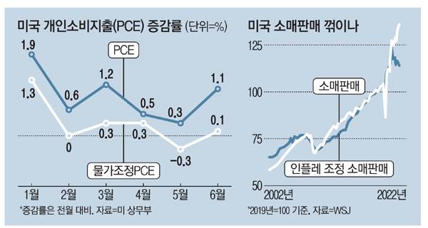 美경제 버팀목 소비 흔들가전 구입 줄이고 생필품만 산다