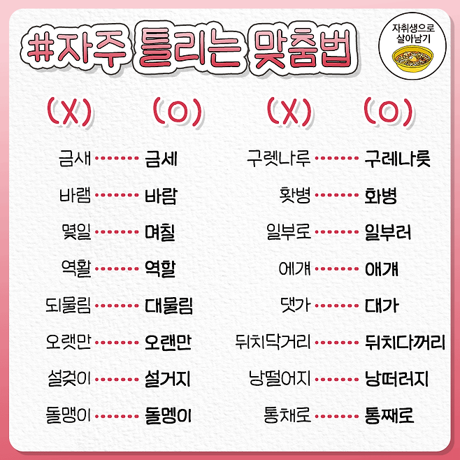 한국인들이 가장 많이 틀리는 맞춤법 싹 다 정리 자취생으로 살아남기