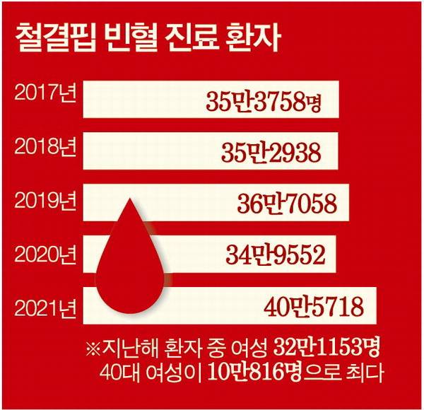성적 떨어진 게 철분 부족 탓 빈혈 피로 키우고 집중력 낮춰요