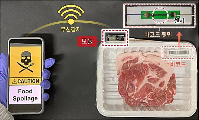 여보 포장지가 싱싱한 고기인지 알려 준대