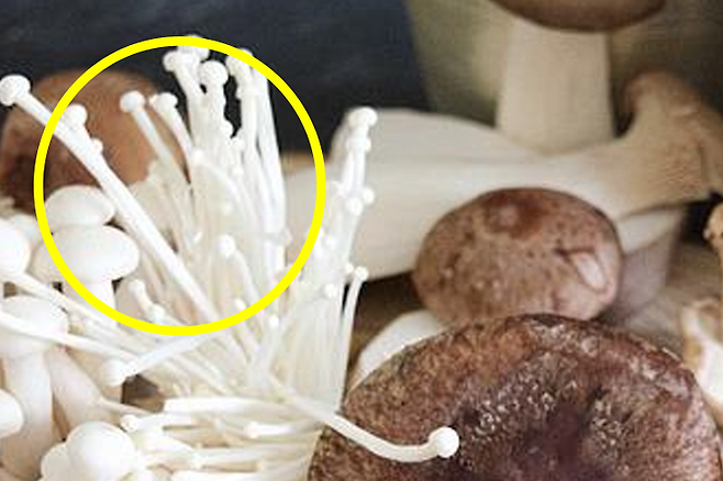 팽이버섯 무심코 이렇게 먹으면 사망할 수도 있다 어썸클