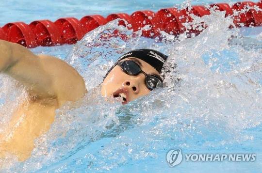 스포츠박사 기자의 스포츠용어 산책 821 왜 수영에서 다관왕多冠王이 많이 나올까