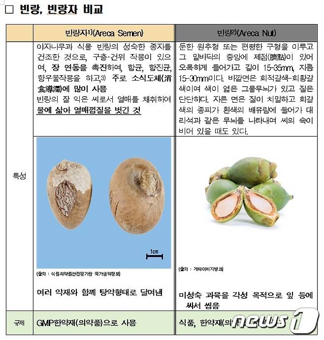 죽음의 열매 수입돼 한약재로한의협 빈랑과 빈랑자 달라 안전