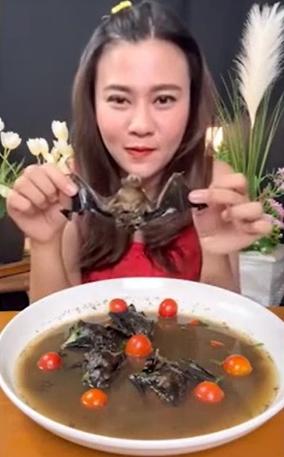 박쥐 통째로 끓인 스튜로 먹방 찍다 기소된 유튜버최대 5년형