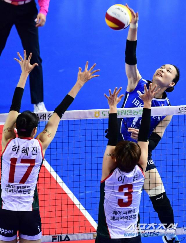 1r 전패 위기 페퍼저축은행 1승 기업은행 승리는 누구 품에 V리그 프리뷰